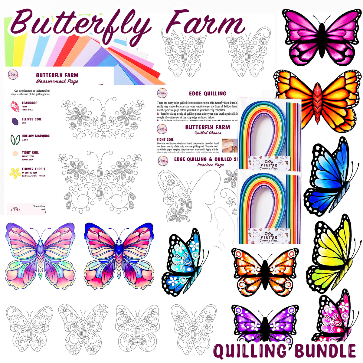 Butterfly Farm – TillyViktor Ltd
